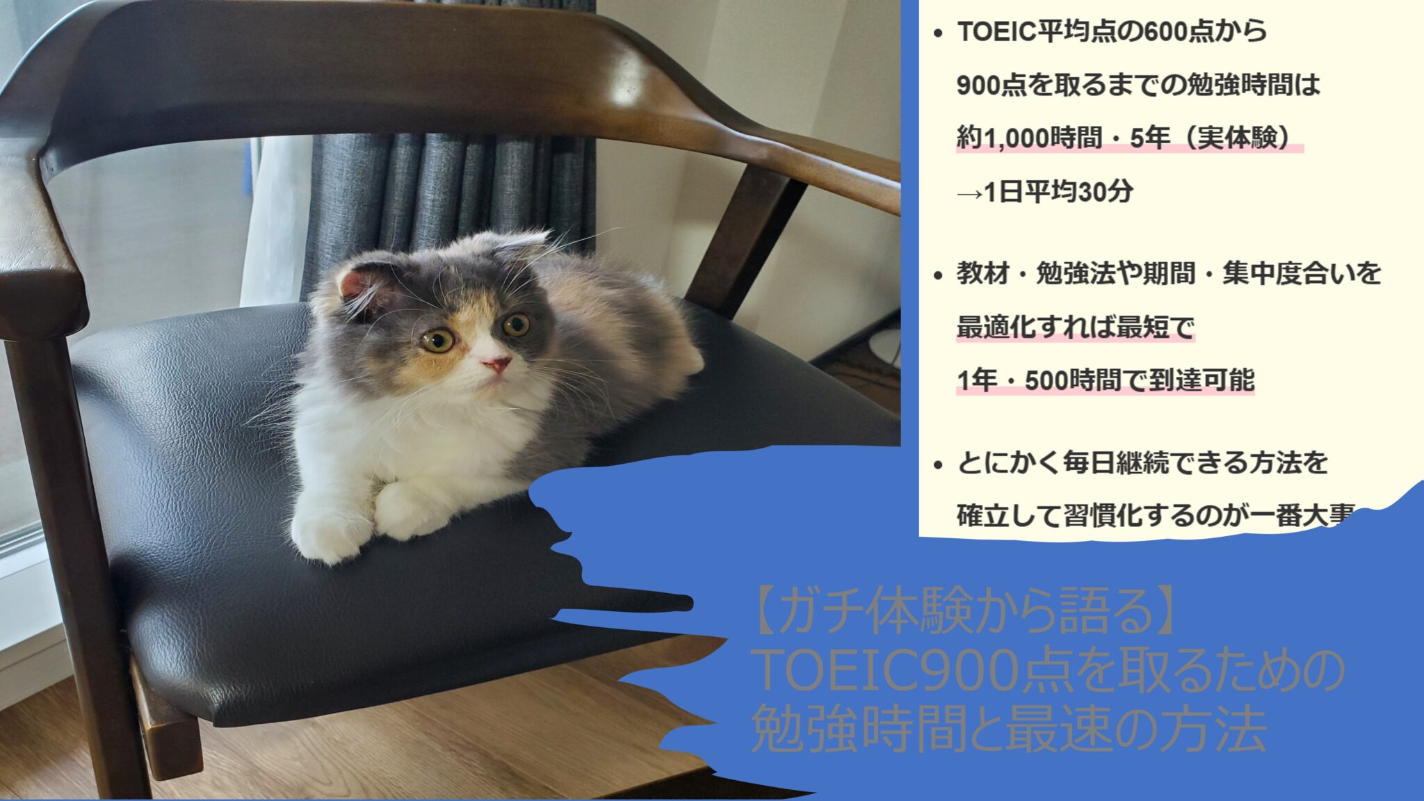 【600点から900点まで】TOEICのスコア別割合を見やすくまとめました