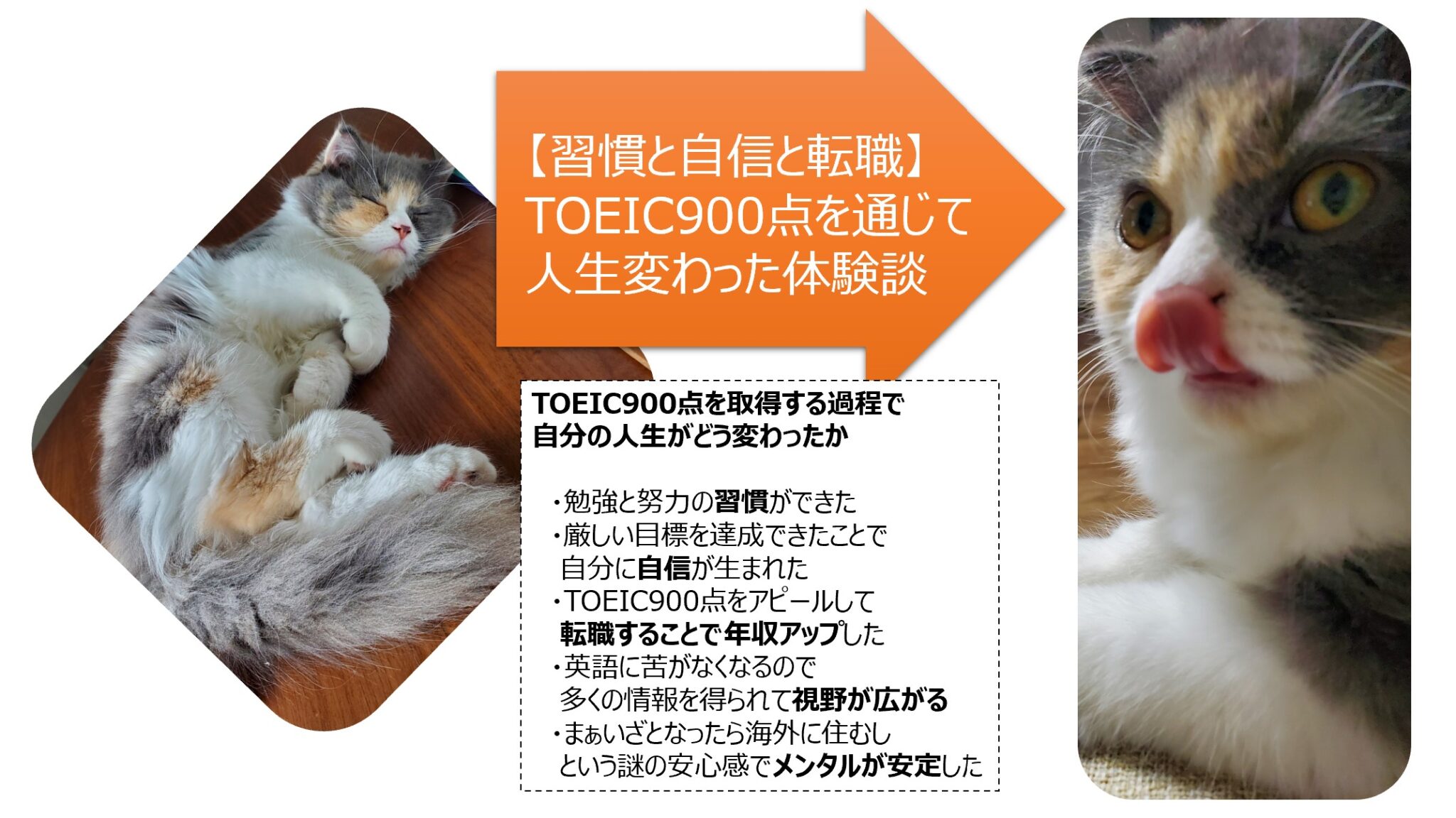 【600点から900点まで】TOEICのスコア別割合を見やすくまとめました