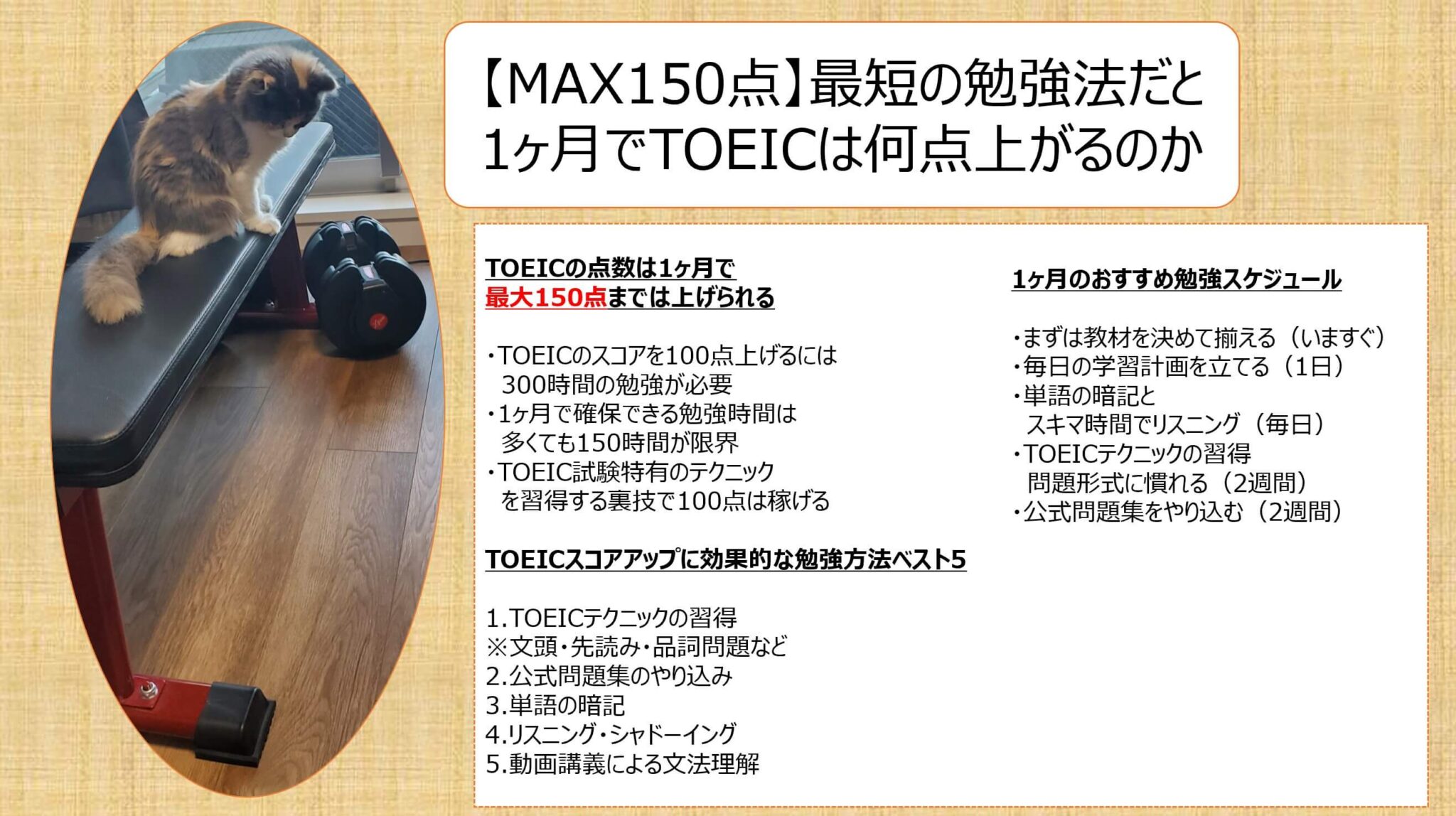 【600点から900点まで】TOEICのスコア別割合を見やすくまとめました